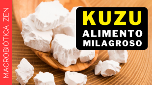 ENSALADA MACROBIÓTICA - Instituto Macrobiótica Zen